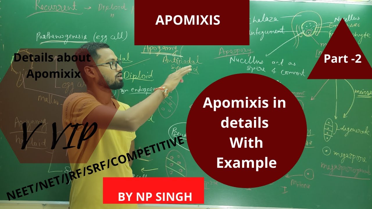 Apomixis in Details Part-2 Adventive, Gametophytic, apospory ...