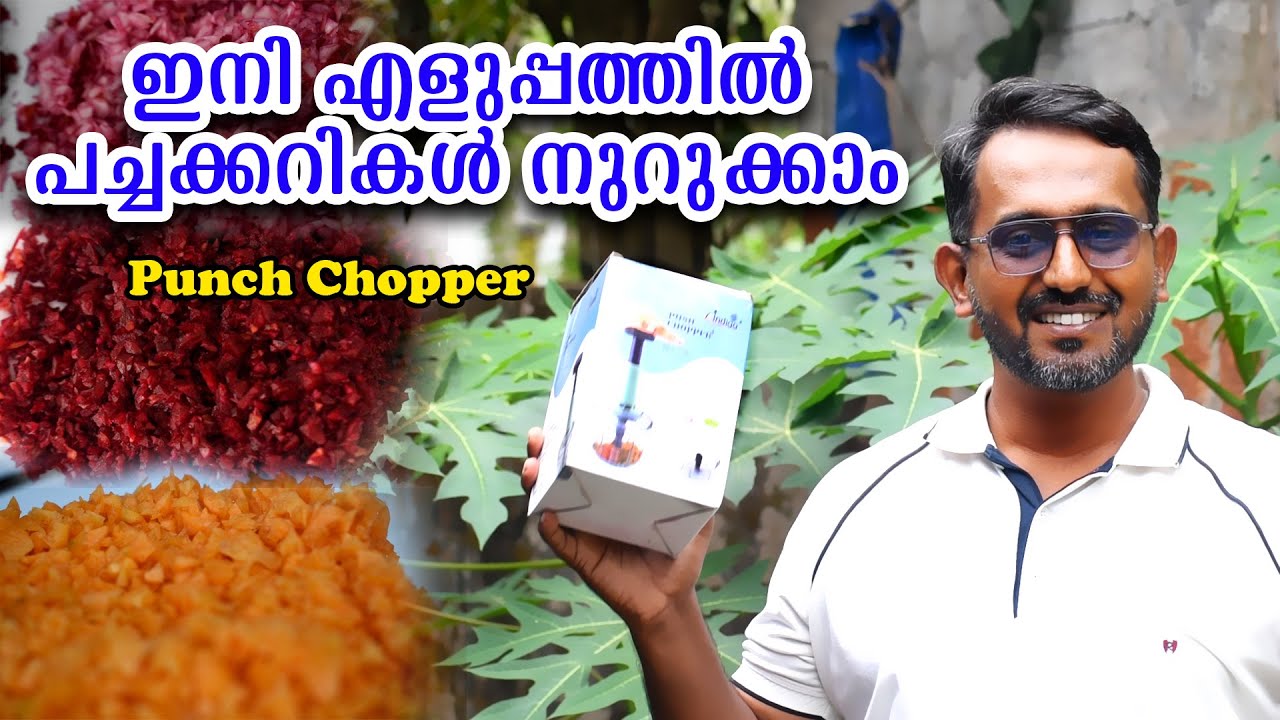 പച്ചക്കറി നുറുക്കാം എളുപ്പത്തിൽ | Punch Chopper - YouTube