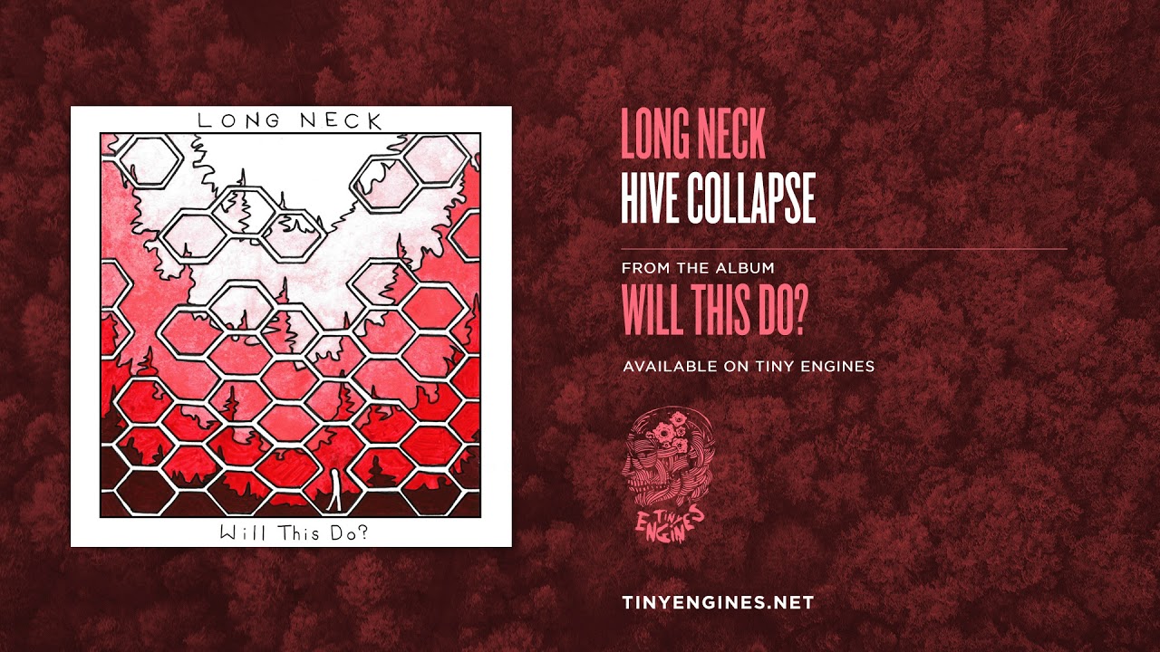 Long Neck - Hive Collapse - YouTube