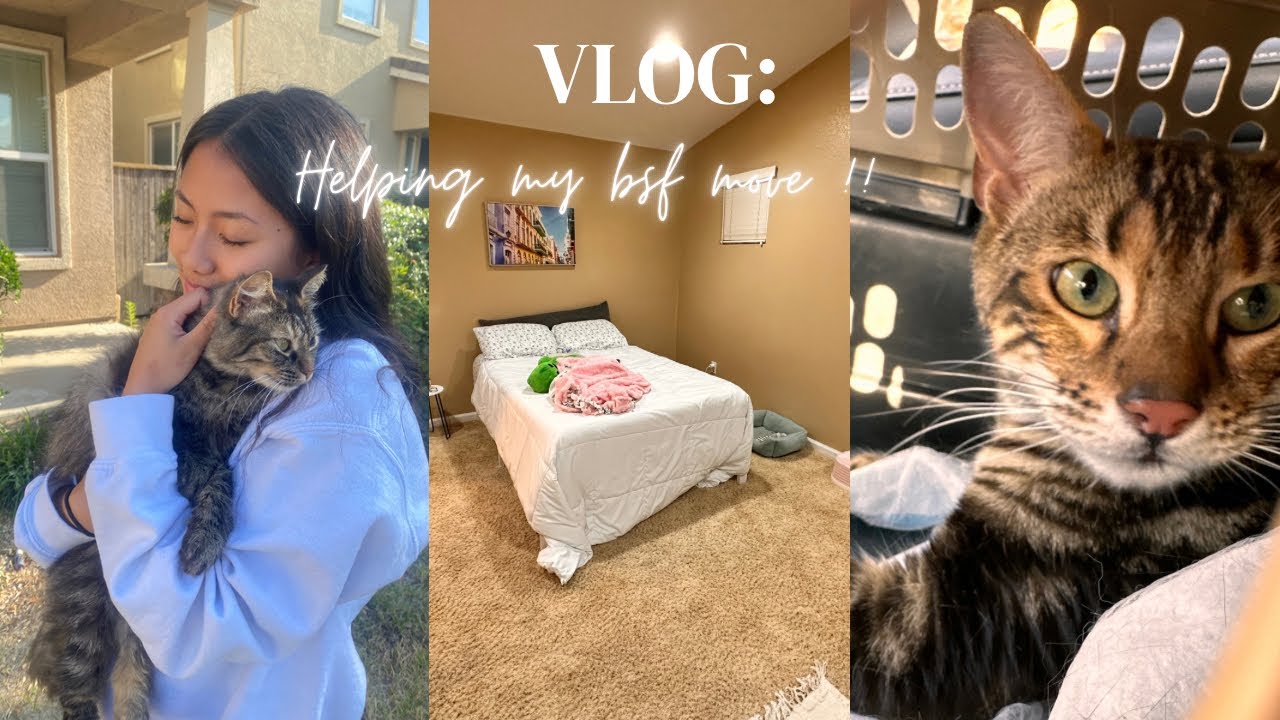 This video should just be titled Cora tbh. Helping my best friend MOVE ...