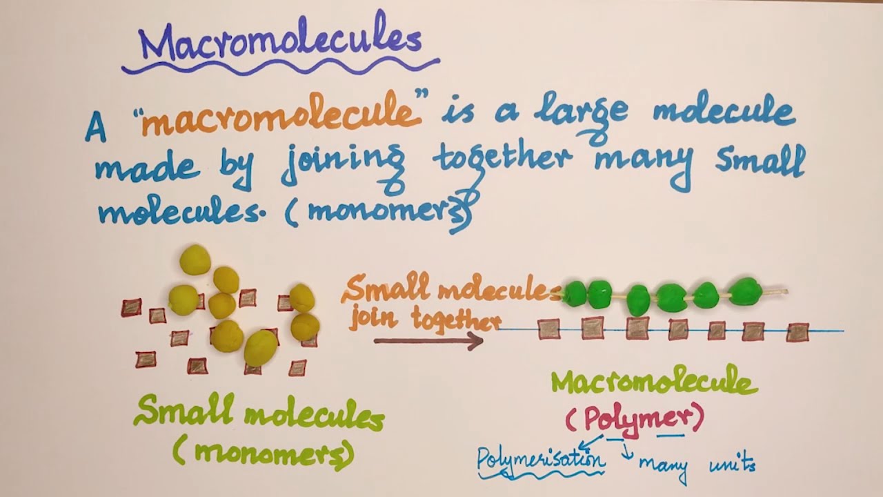 O level Chemistry - Organic Macromolecules/ Polymerization - YouTube