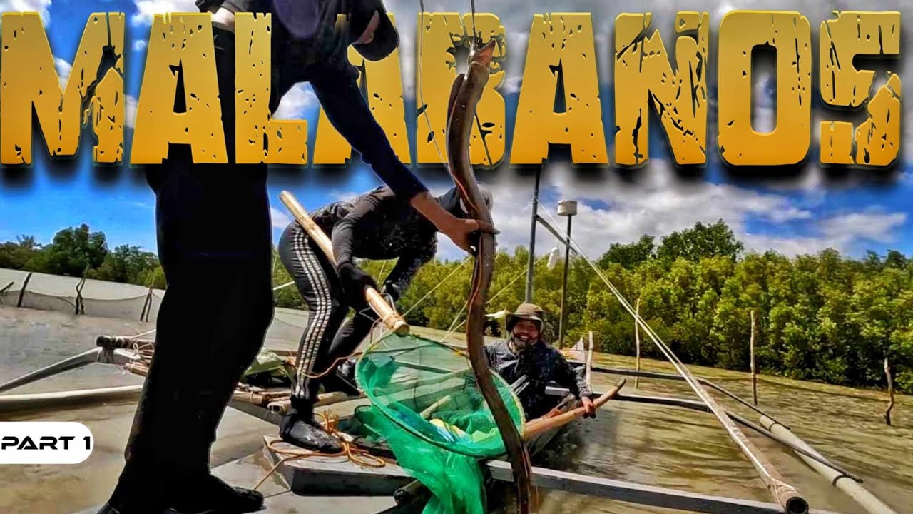 P1-NAMISS NAMIN ANG MALABANOS - EP1251 - YouTube