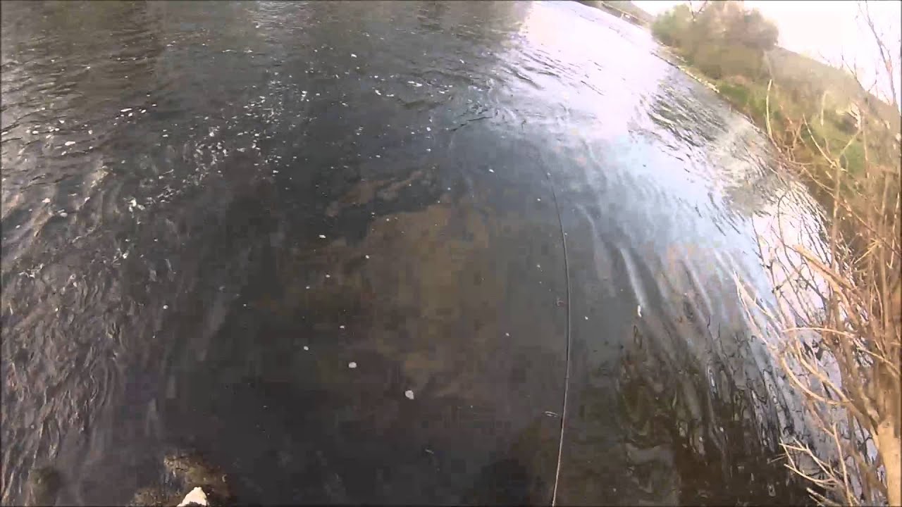 Luxembourg Fishing: Third time lucky! - YouTube