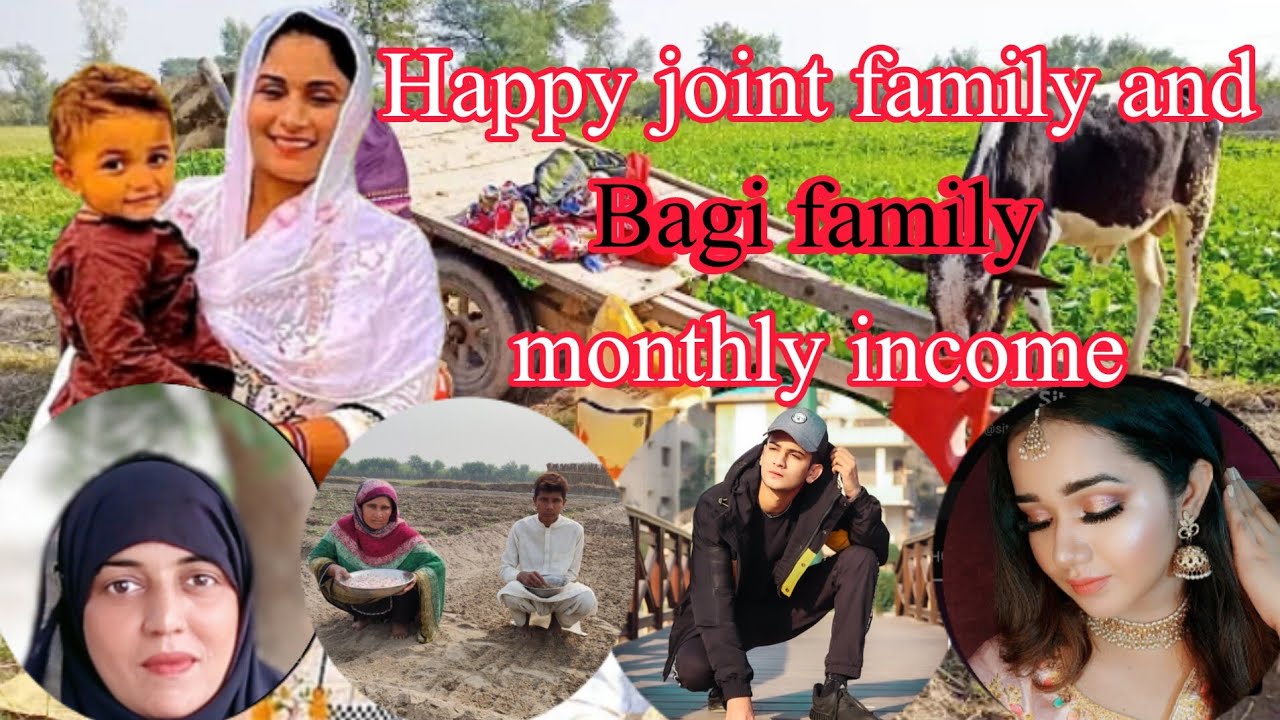 How much earn Pakistani youtubers? happy joint family and baji village ...