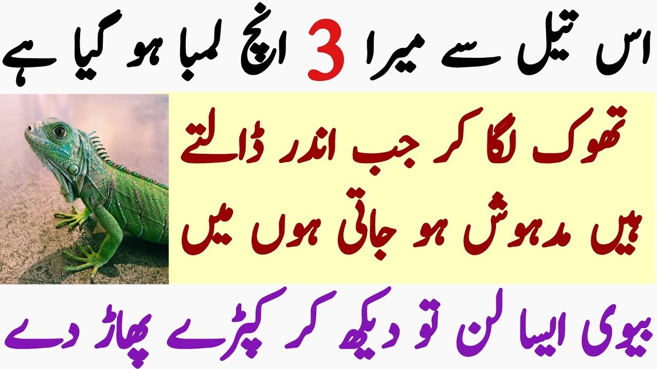 7 lizard oil benefits For Skin, Hair, And Health | Fitness Factory ...