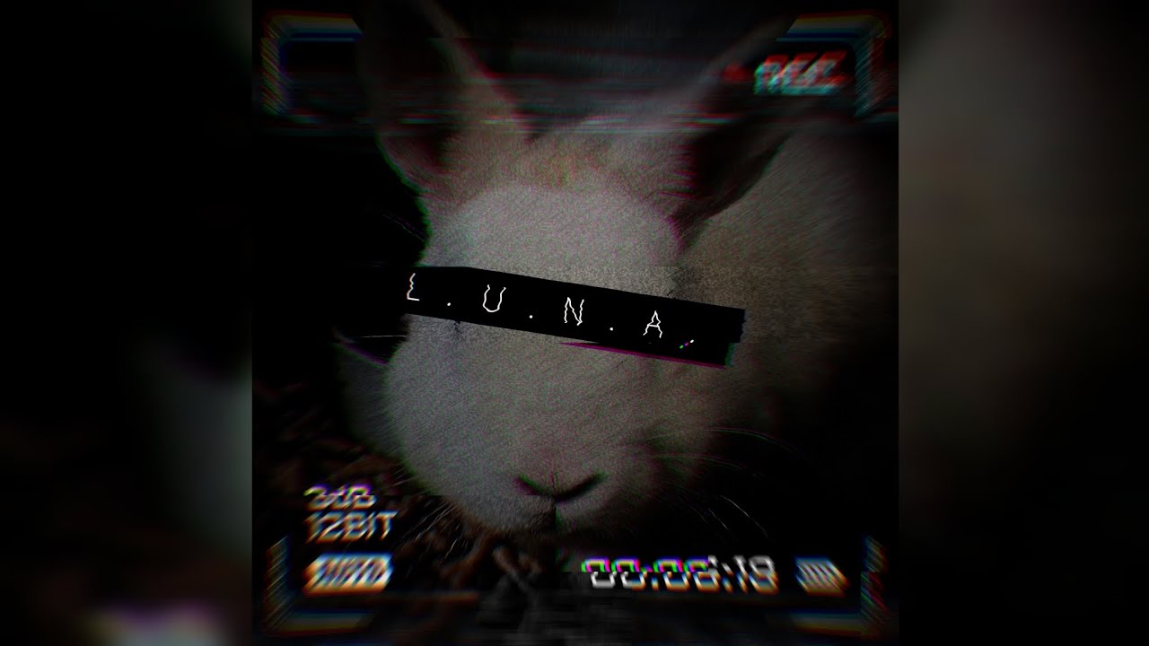 L.U.N.A. Vhs - YouTube