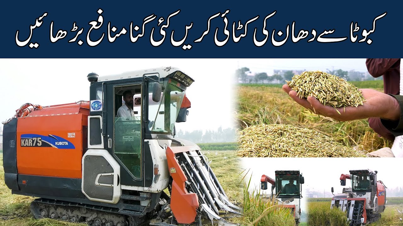 New Holland KR 75 Harvester Machine | Kubota se Dhan ki Katai Kren or ...