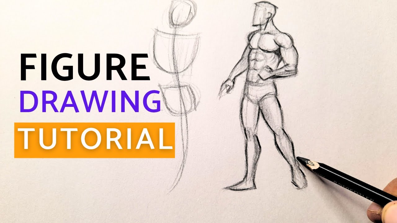 How to draw Human Figure step by step | Drawing Human body| How to draw a Body Human Figure ...