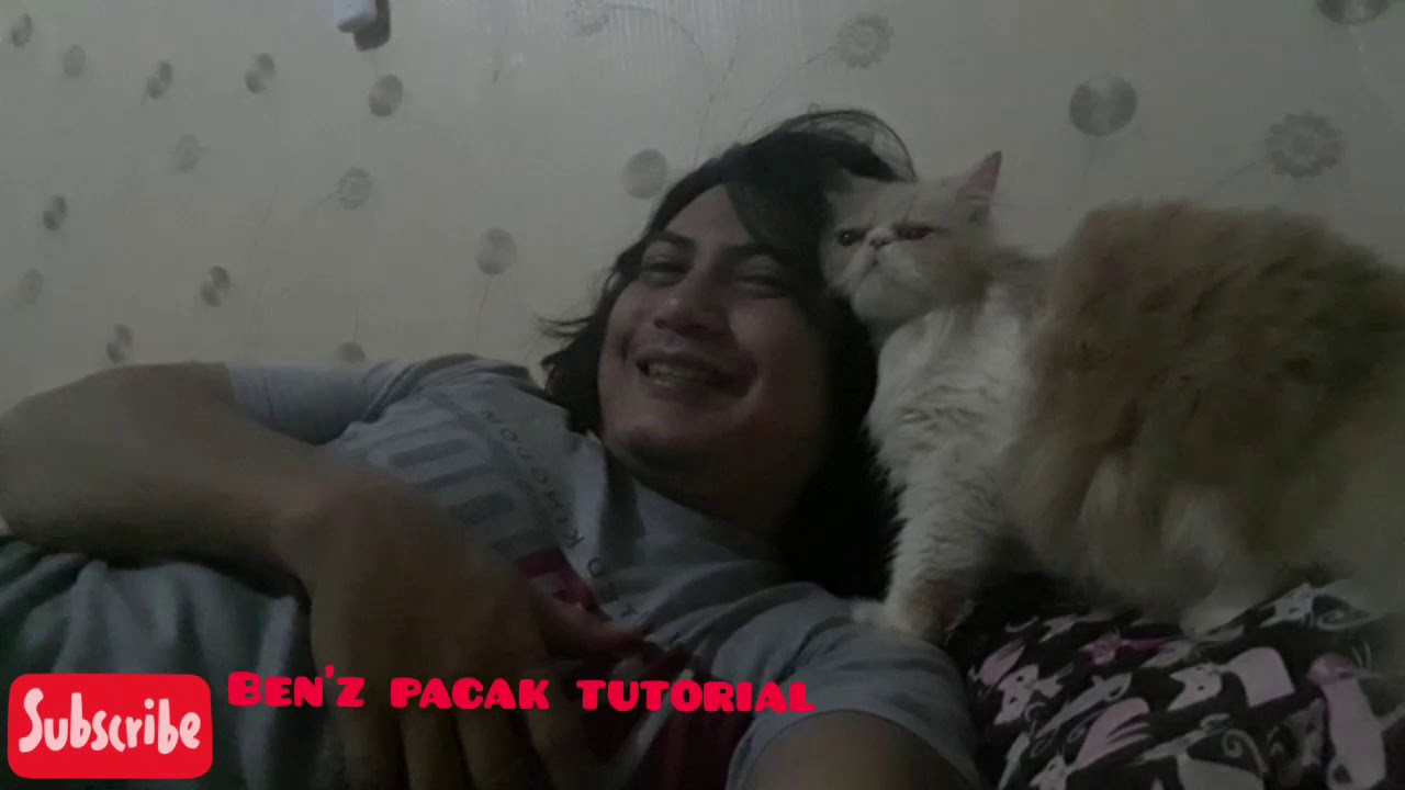 CARA MENGETAHUI KUCING BIRAHI😻||MY CATS DIARY#36 - YouTube