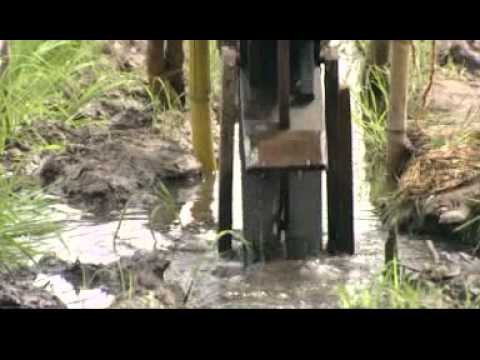 Jeevana Thalam (Rythm of Living) By Dr. Thomas Varghese Panakalam - YouTube