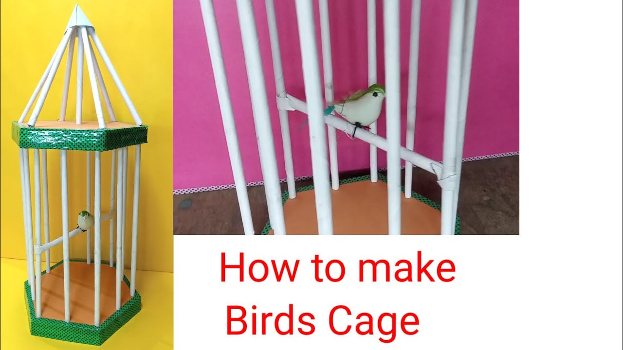 How to make cage for Bird || pinjara make for school model - YouTube