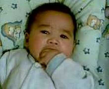danish isap jari