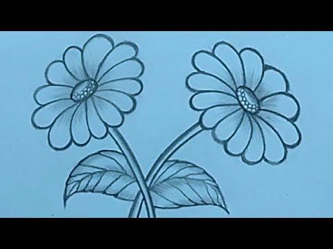 Phool ka Chitra Kaise Banaye|How To Draw A Flower| Flower Drawing Easy ...