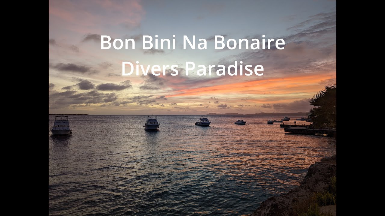 Bon Bini Na Bonaire, Divers Paradise - YouTube