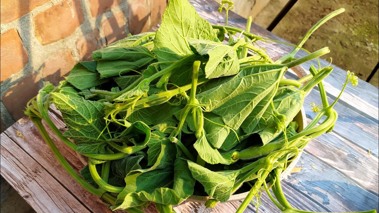 গাছের ফ্রেশ লাউশাক দিয়ে ছোট আলু ভাজি | লাউ পাতা ভাজি | Lau Pata Bhaji ...