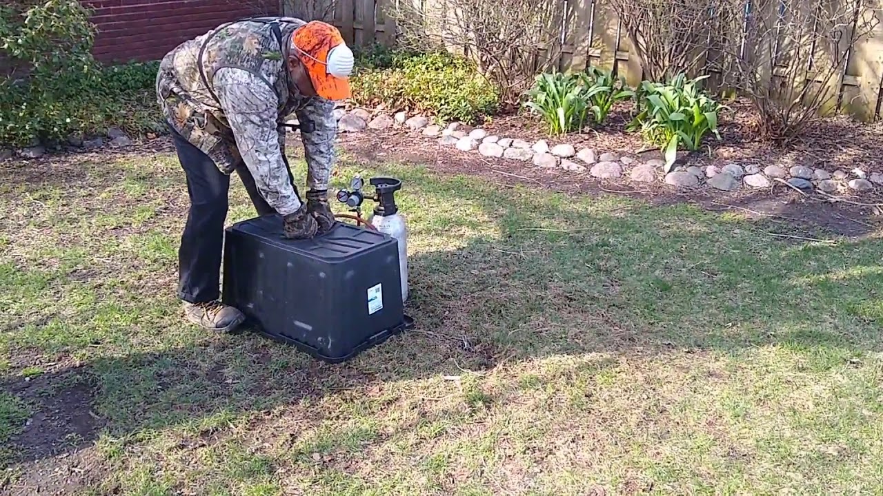 dog proof trap for raccoons / this is how I do it, when it comes to ...