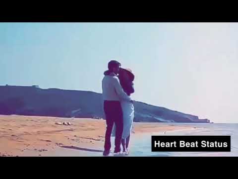Whatsapp Status Song | Ramin Fazli | رامین فضلی | آهنگ برای استوری