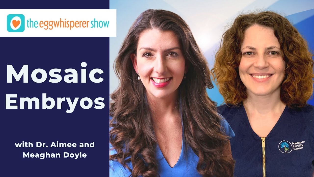 How Successful are Mosaic Embryos? with guest Meaghan Doyle - YouTube
