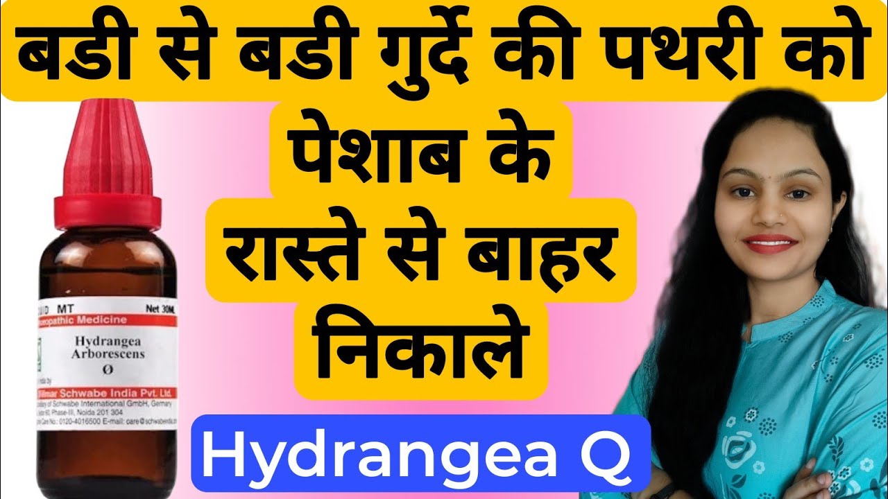 Homeopathic medicine hydrangea Q | SBL Hydrangea Arborescens Mother ...