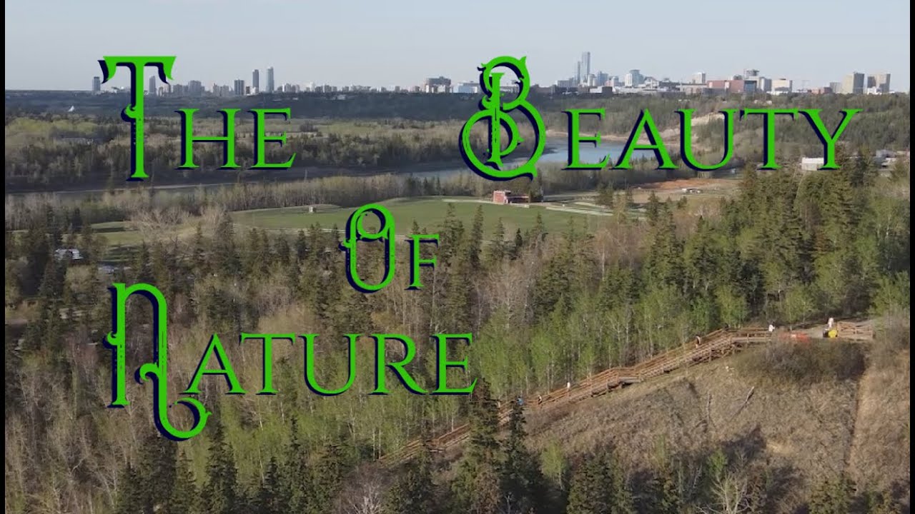 Fox Drive Step Scenic View | Real Life's Journey - YouTube