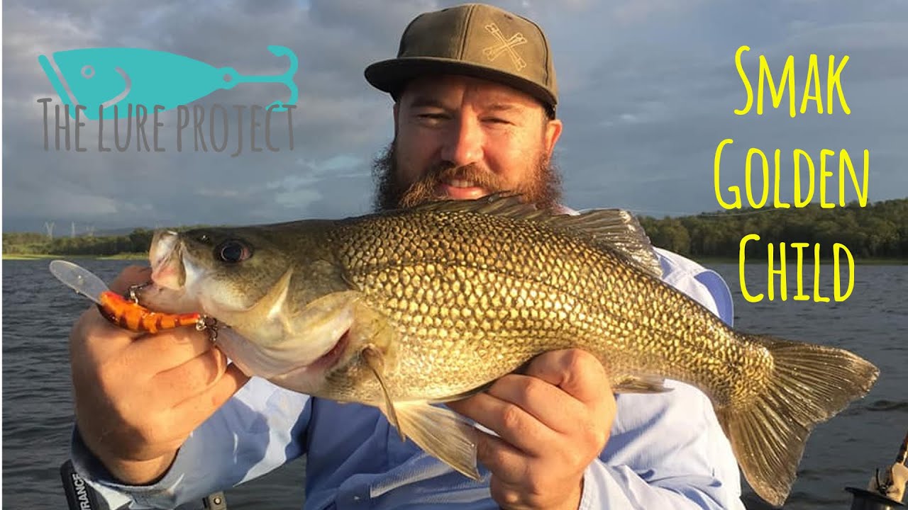 Water testing: Smak Golden Child Lure at North Pine Dam - YouTube