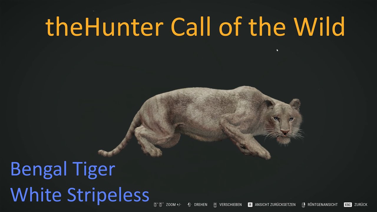 theHunter Call of the Wild (COTW) - Bengal Tiger - White Stripeless ...