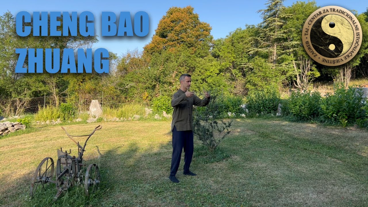 Zhan Zhuang QiGong - Basic Exercises - Cheng Bao Zhuang - YouTube