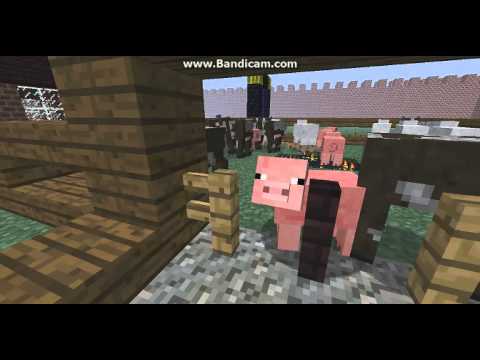 Minecraft [CZ/SK] SnipCraft - YouTube