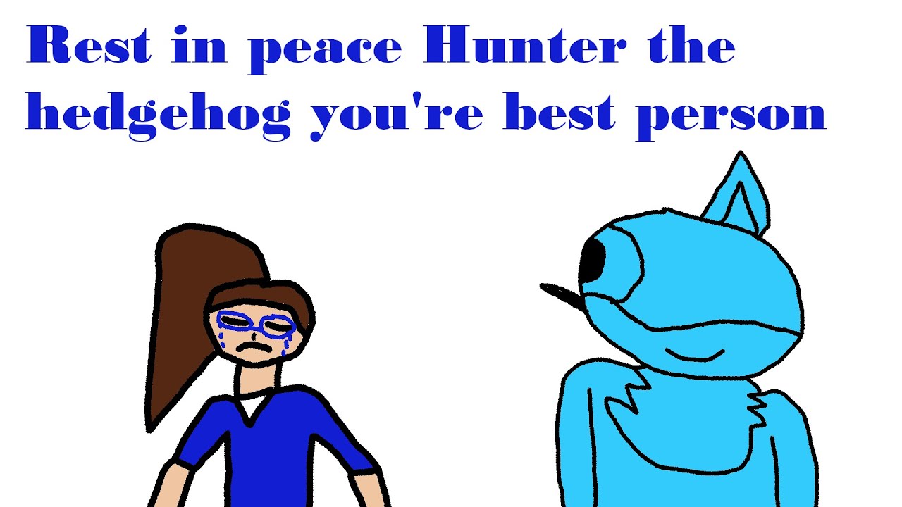 In Loving Memory Of Hunter Swafford (Hunter The Hedgehog) - YouTube
