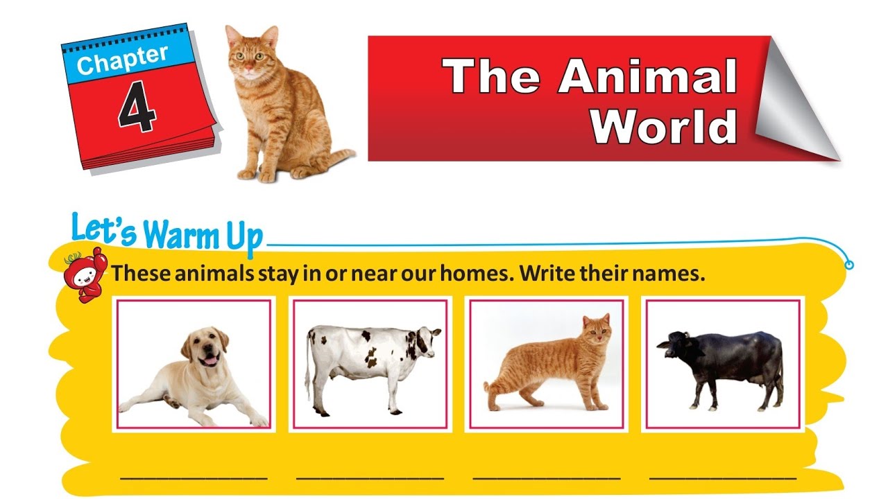 Class 1 Science chapter 4 full explanation with answers by study well ...