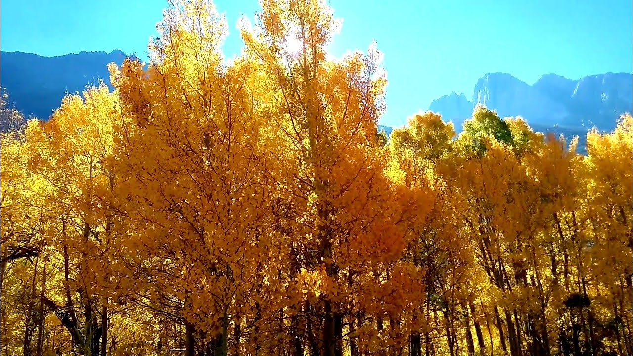 Stunning fall colors at Convict Lake in the Eastern Sierra - YouTube