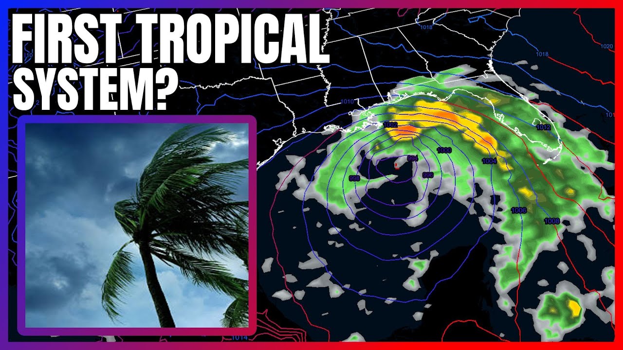 🔴LIVE REPORT: Seeing Possible Signs That A Tropical System Could Be ...