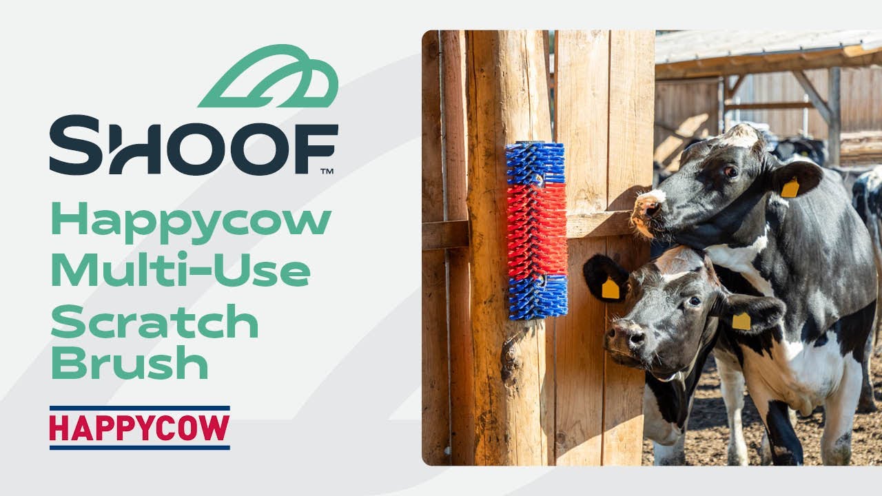 Happycow Multi-Use Scratch Brush - YouTube