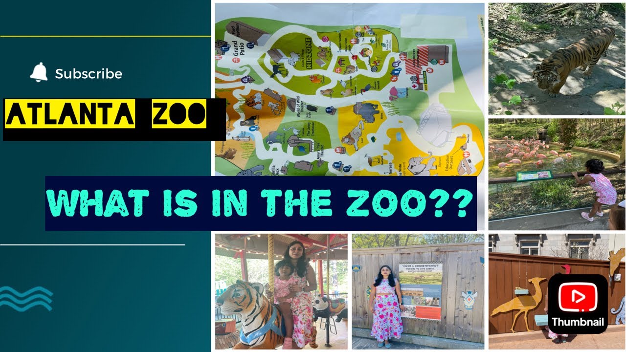 Atlanta zoo in Georgia| what is inside? . | Let’s Go to the ZOO - YouTube