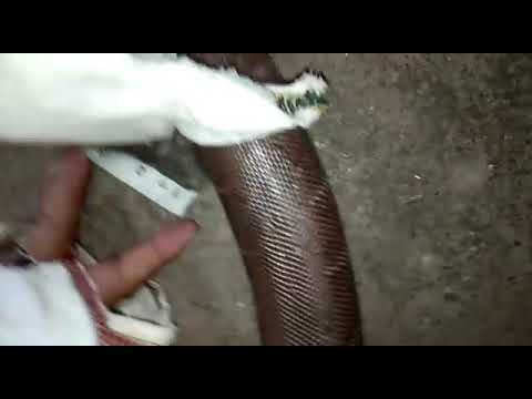 7499565970.colme
