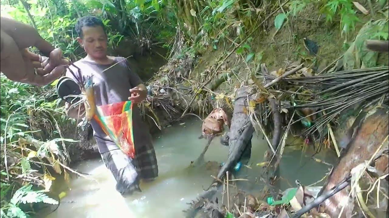Ep#250Electricfishing/Daming ulang oh hipon sa ilog na ito - YouTube