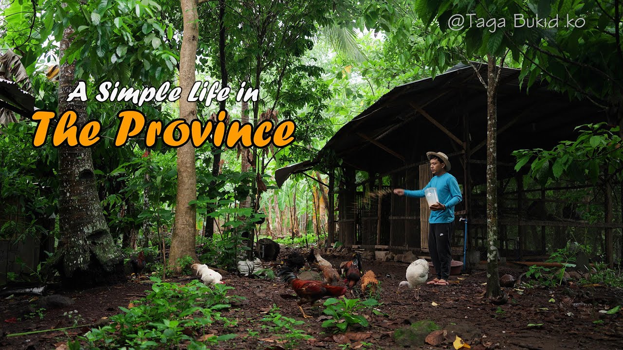 "Hot & Spicy" Chicken Wings Korean Style | Bukid Life | Life in the ...