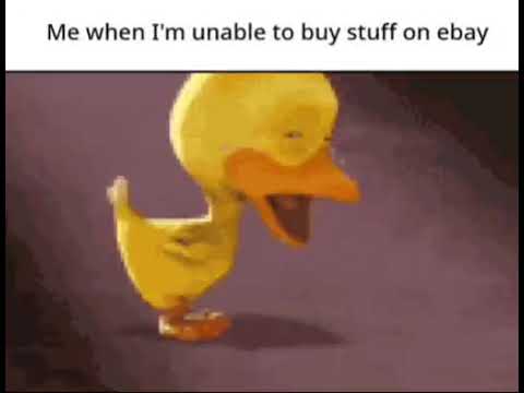 crying duck meme - YouTube