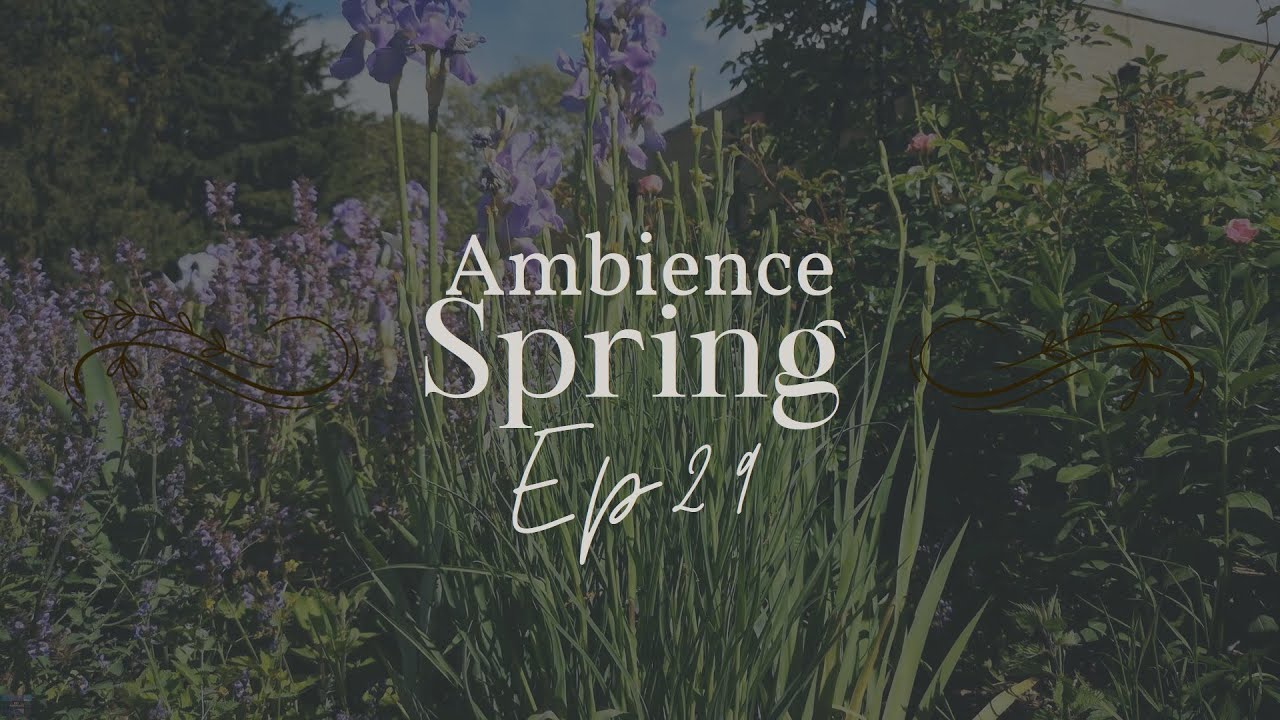 Relaxing Spring Ambience: Soothing Sounds of Nature - YouTube