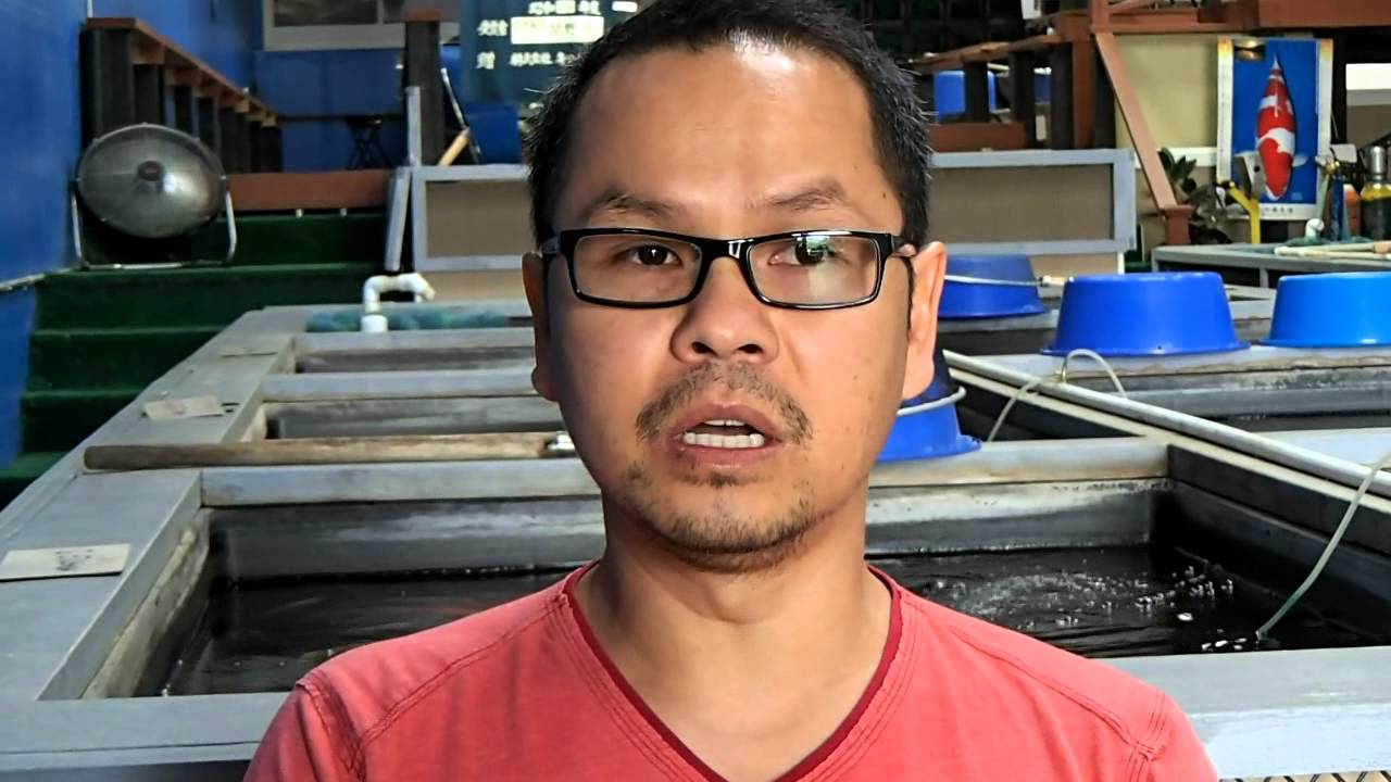 Genki Nishikigoi Filter Test Part 2 - YouTube