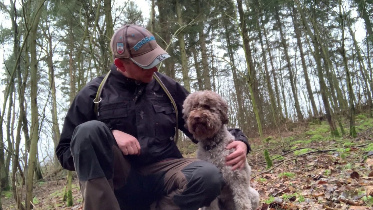 How to train your truffle dog | Trøffeltræning med Asti - YouTube