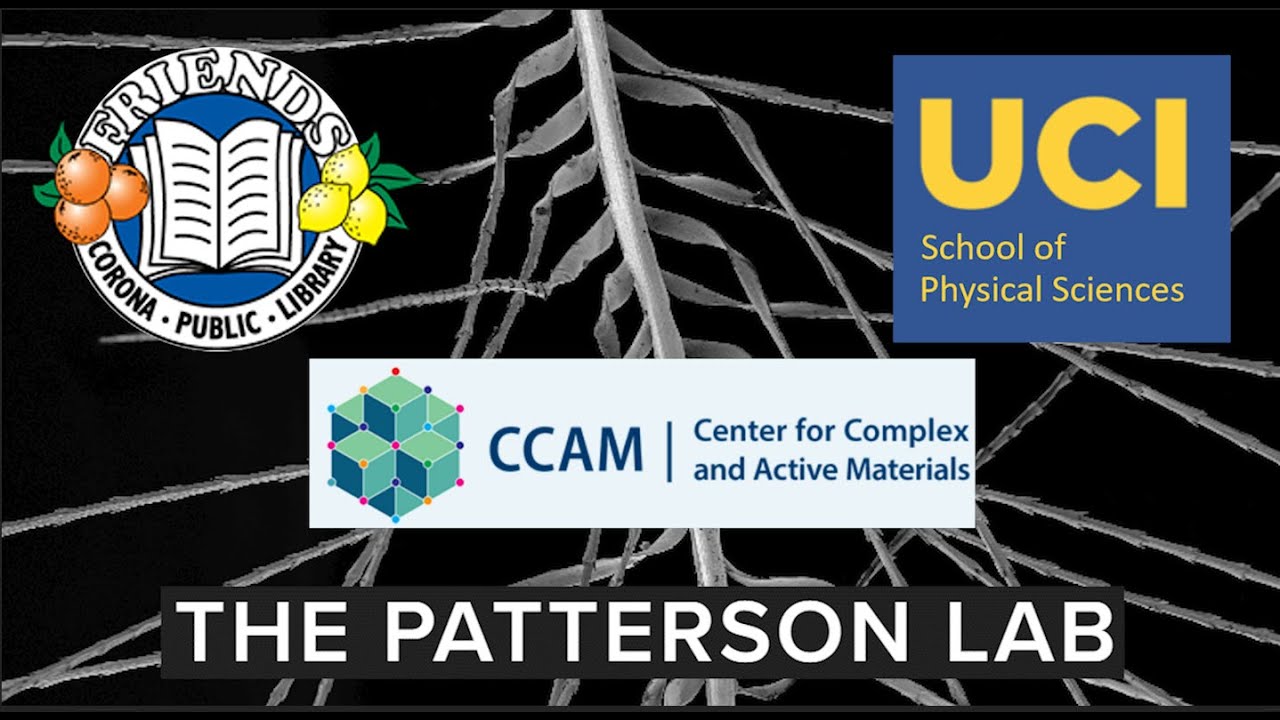 Structure of Feathers Using a Paper Microscope by the Patterson Group ...