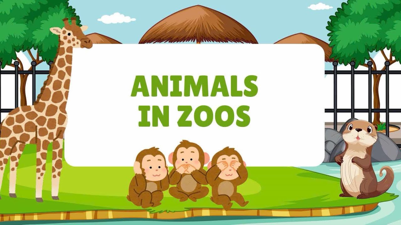 [RUBY CLASS] - Vũ Quang Thọ - Topic: Animals in zoo - YouTube