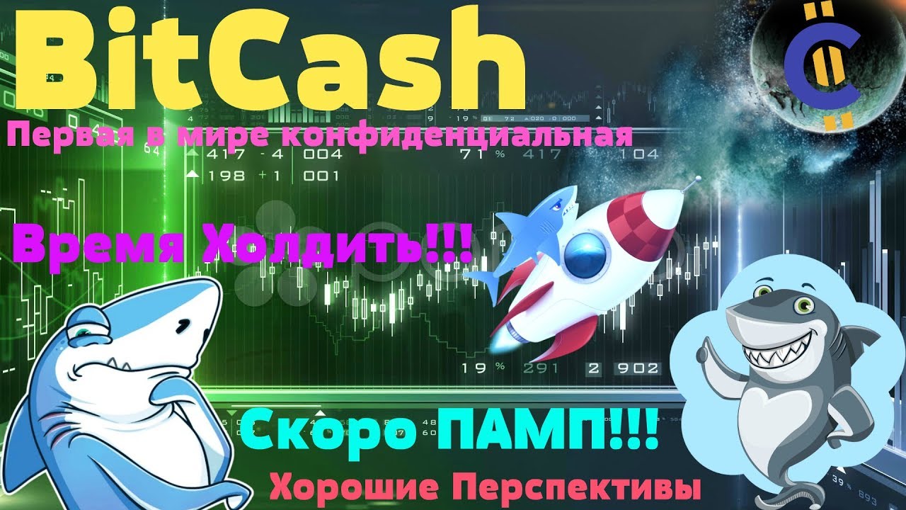 BitCash Новый Интересный Проект! Обещает хорошее будущее!!! #BitCash ...