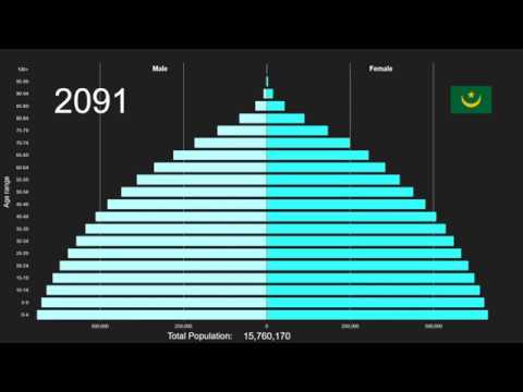 Mauritania Population Pyramid 1950-2100 - YouTube