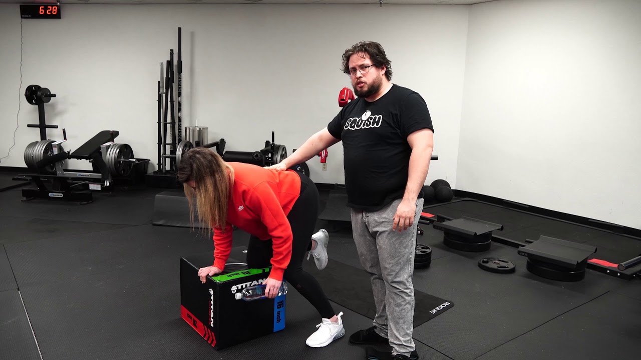 Squish Gym Home Workout Day 2 - YouTube