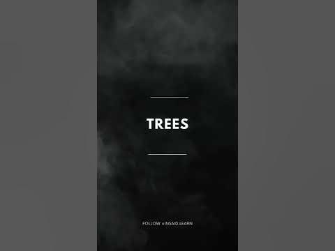 ⭐️ 7 DATA STRUCTURES you should know ⭐️ #shorts #youtubeshorts #programming - YouTube