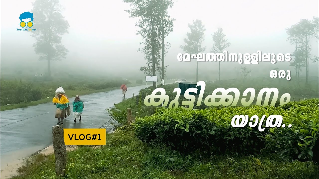 A Trip to Kuttikkanam - Exploring Pine valley, green tea estate - YouTube