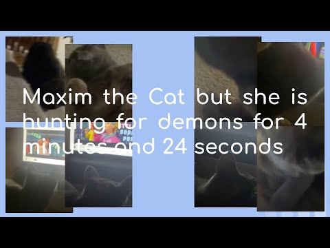 Maxim the Cat but she is hunting for demons for 4 minutes and 24 ...