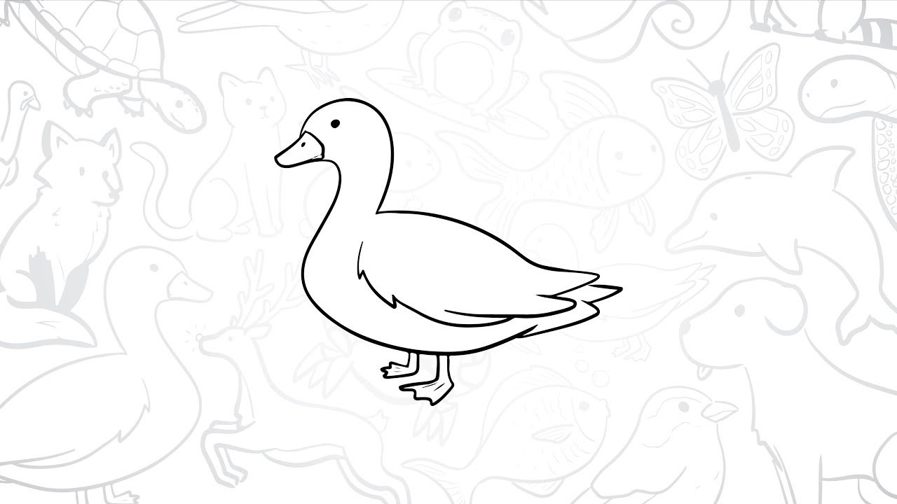 How To Draw a Simple Duck | Step-by-Step Lesson - YouTube